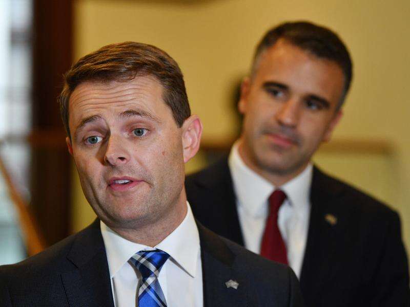 SA Labor reveals election costings | Shepparton News