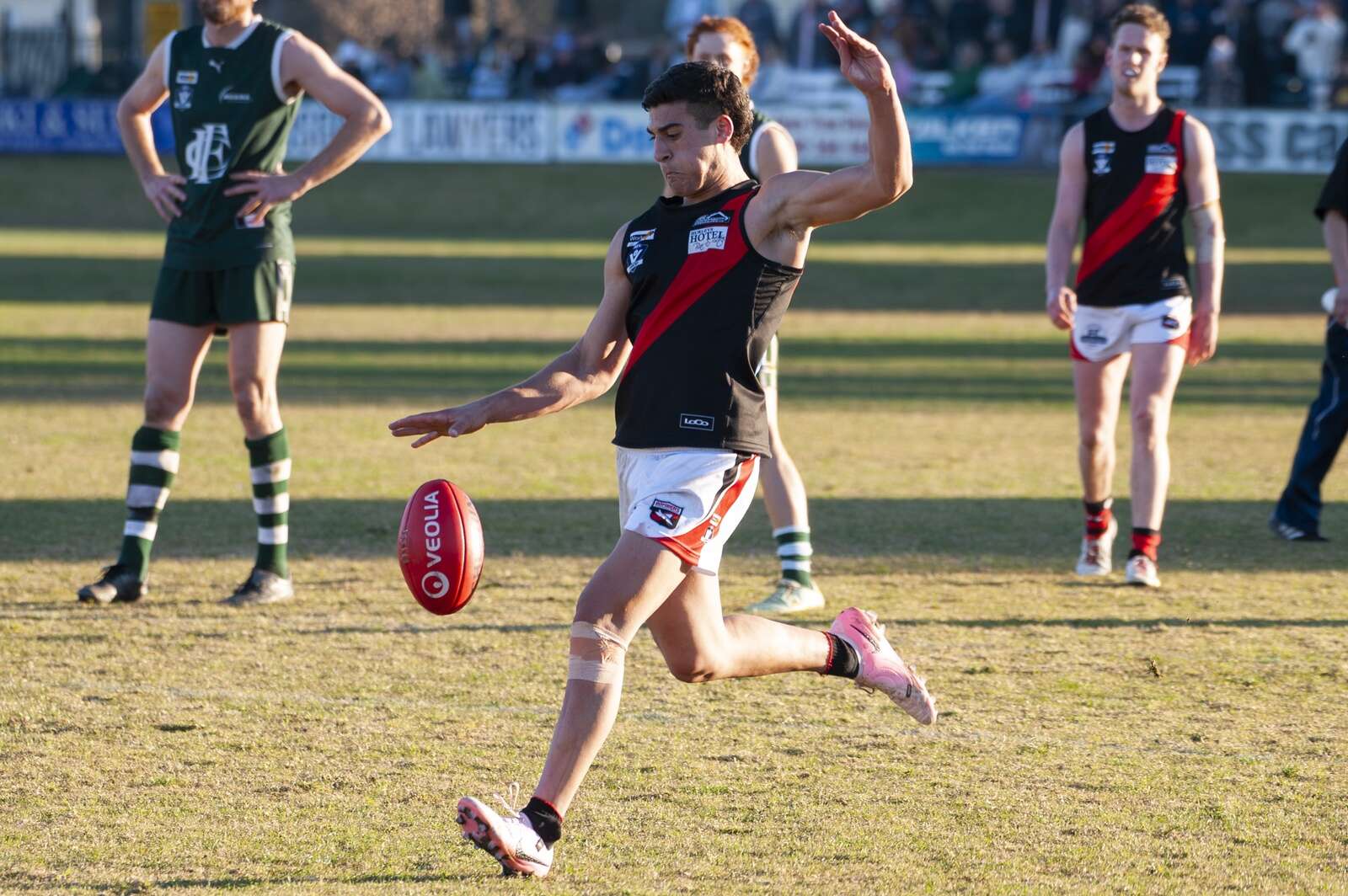 Honourable loss | Deniliquin Pastoral Times