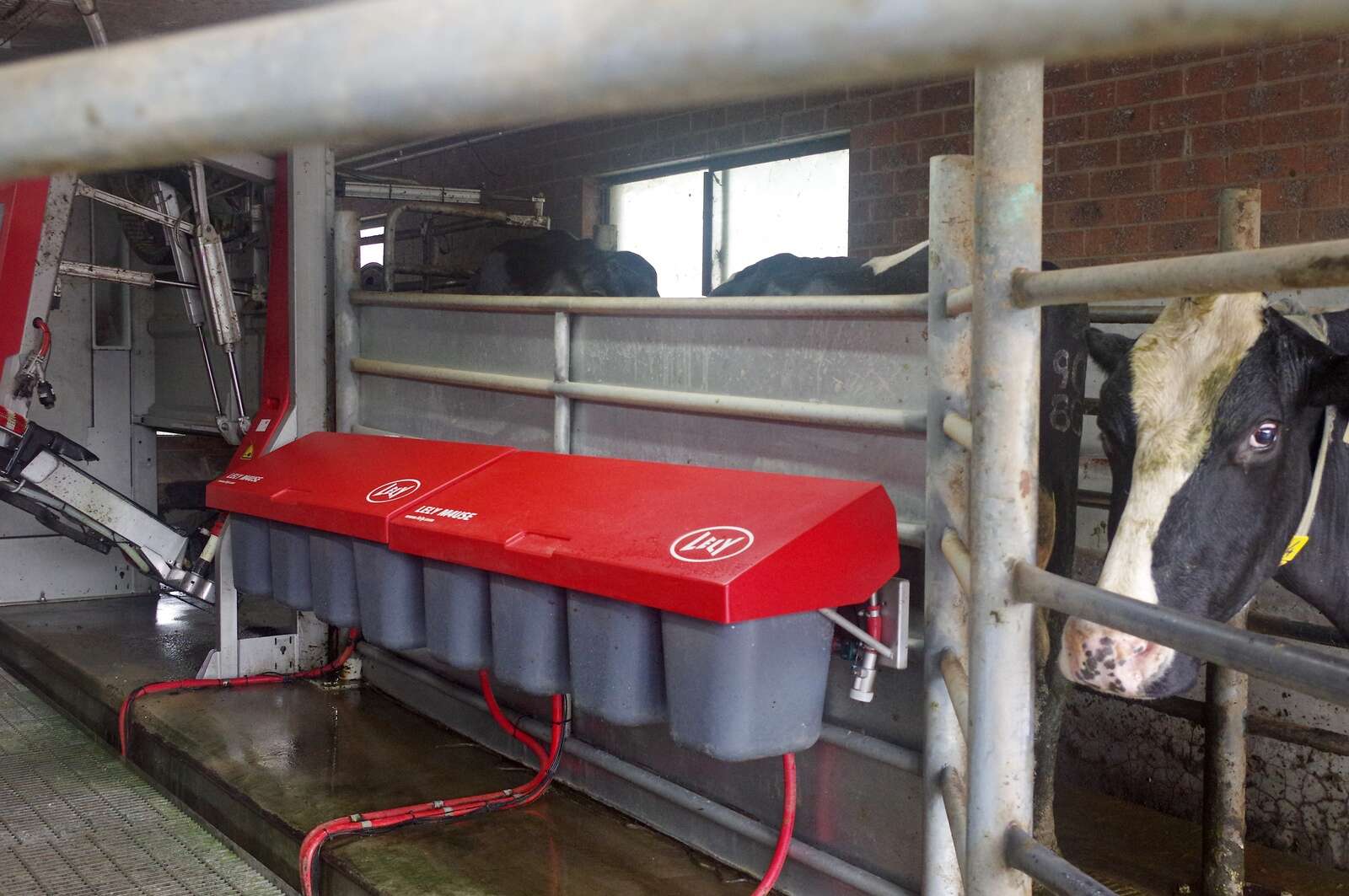 Separating good from bad | Dairy News Australia