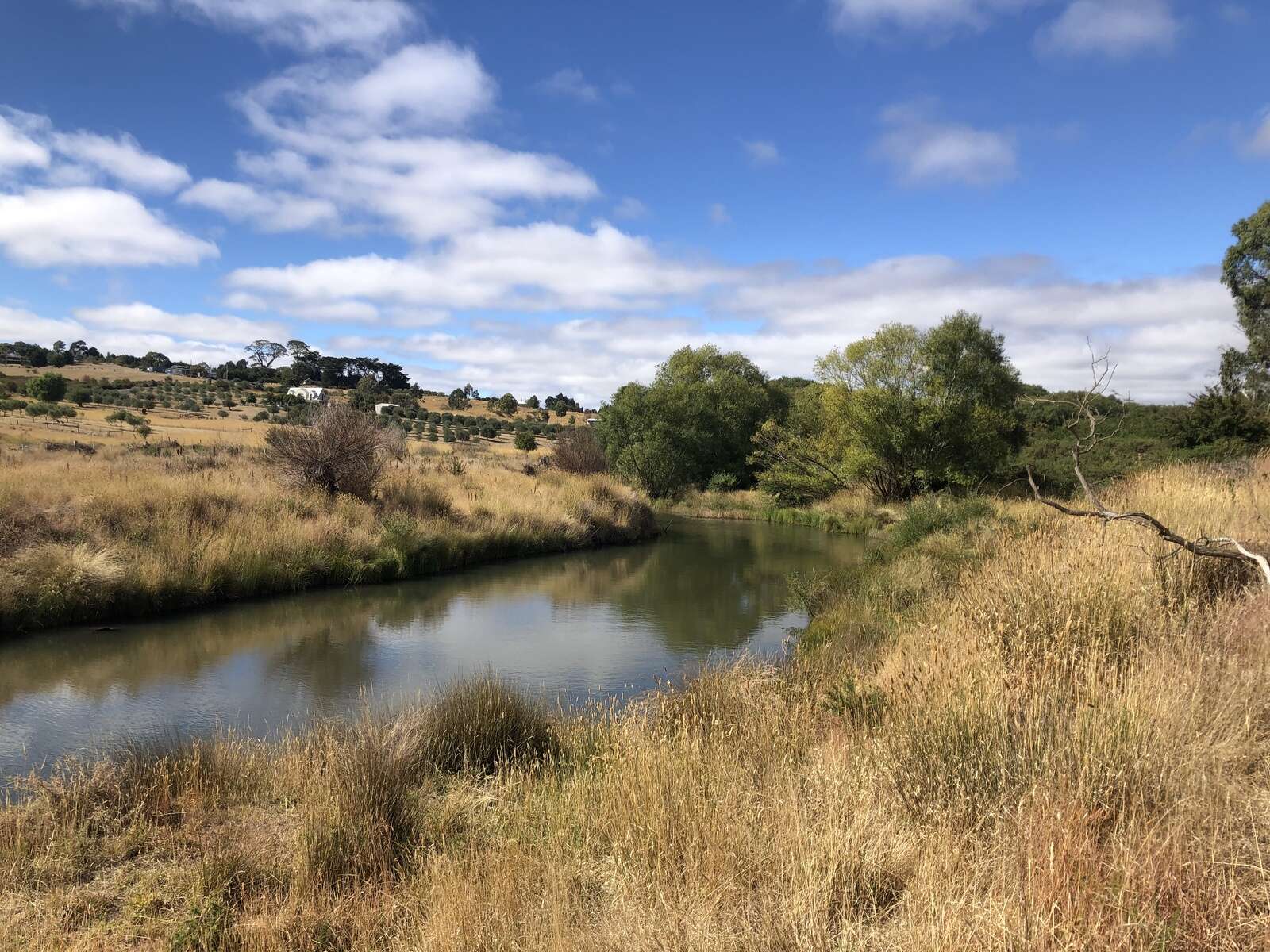 Coliban River catchment revitalised | Riverine Herald