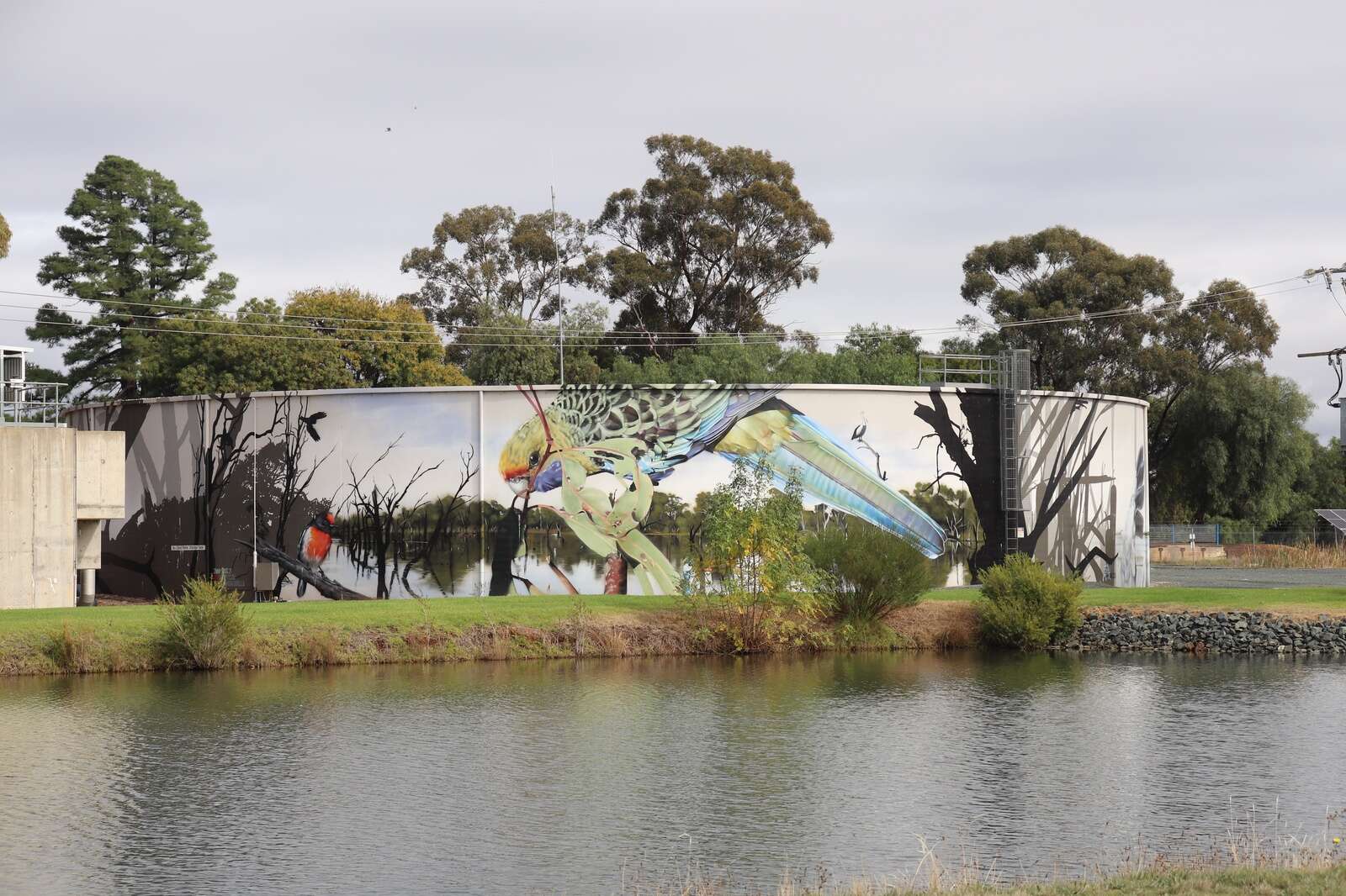 Mural attracts plenty of interest | Shepparton News