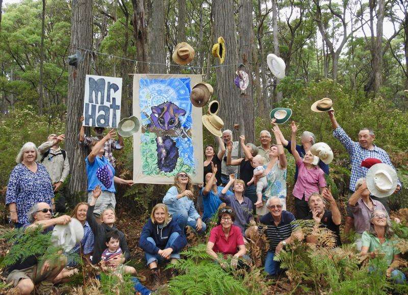 Strathbogie Forest out of the woods | Country News