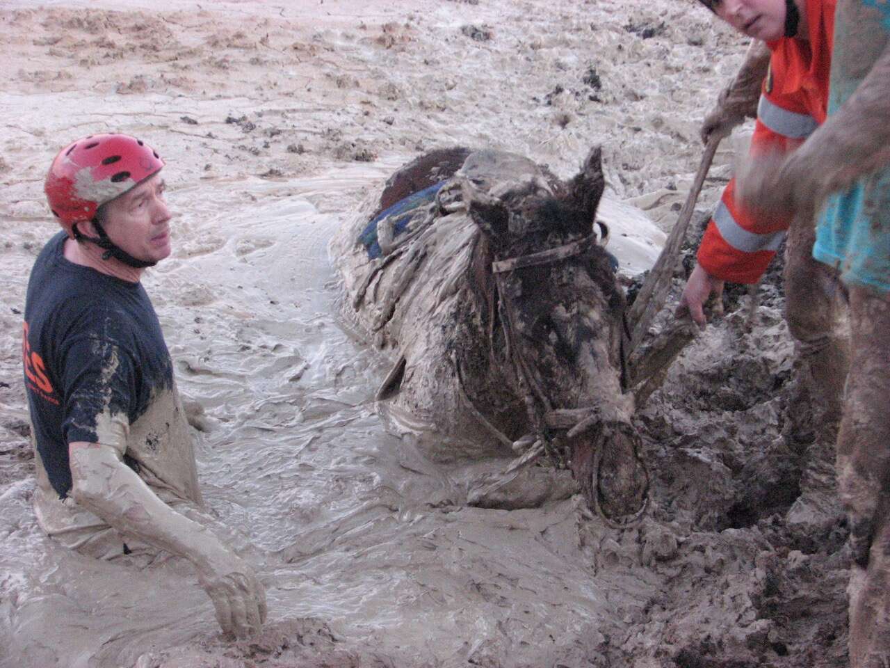 The king of animal rescue | Country News