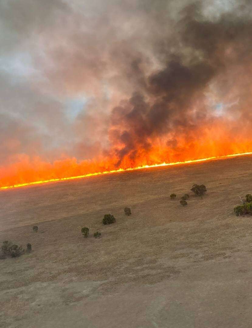 Paperwork before fire work | Southern Riverina News