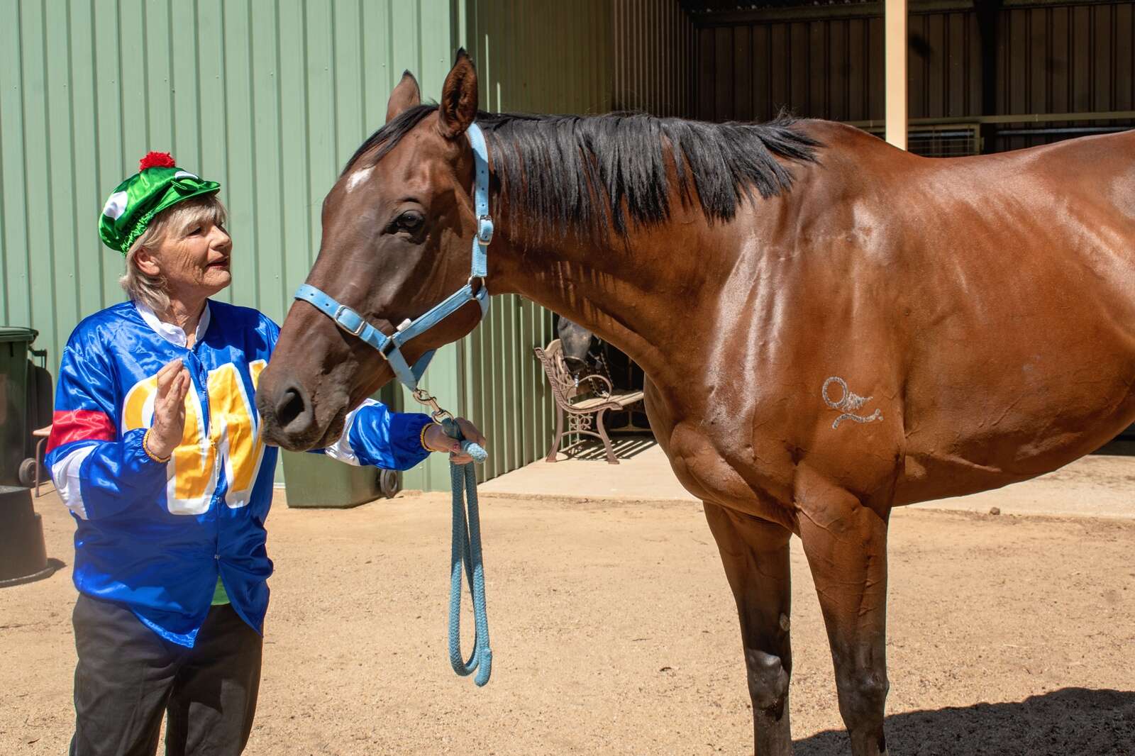 Wheels rolls onto exciting adventures | Dairy News Australia