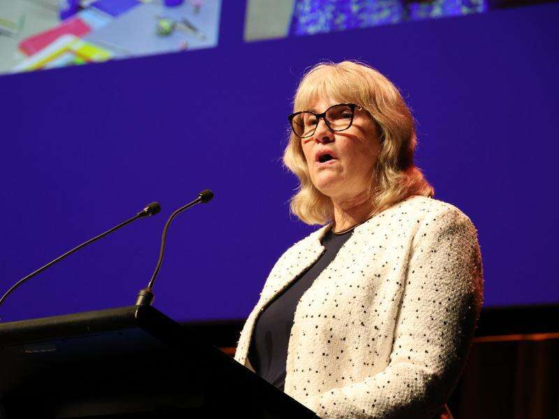 Gas, justice and work: Lawler's plan for NT election | Country News