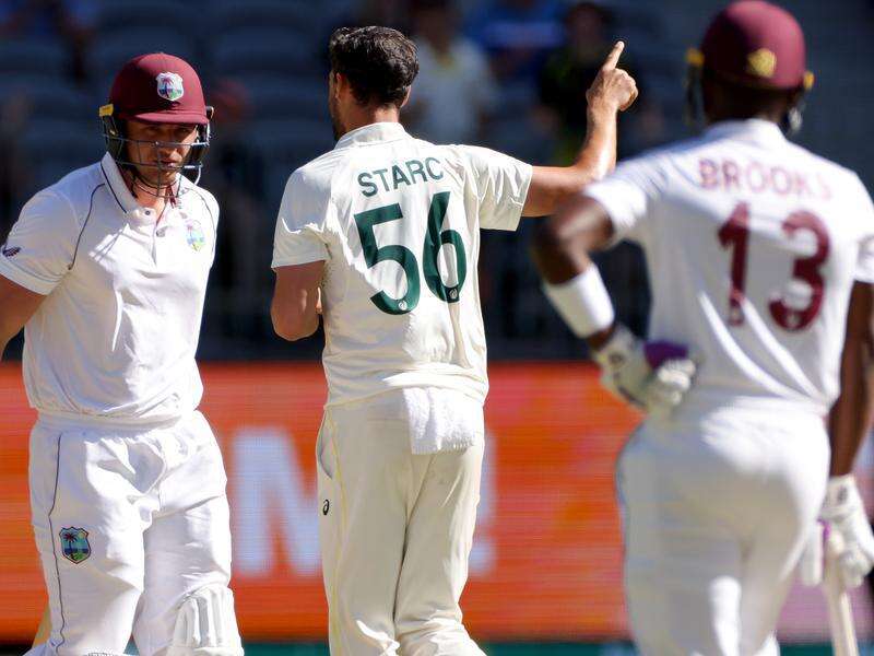 Cummins, Starc open door for Australia | Shepparton News