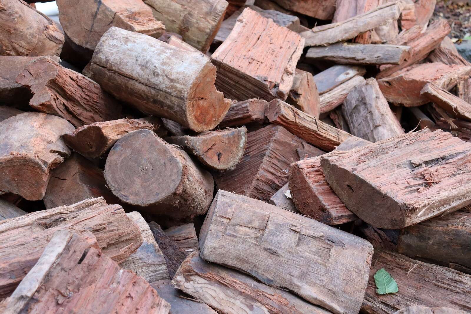 Permits for firewood collection | Deniliquin Pastoral Times