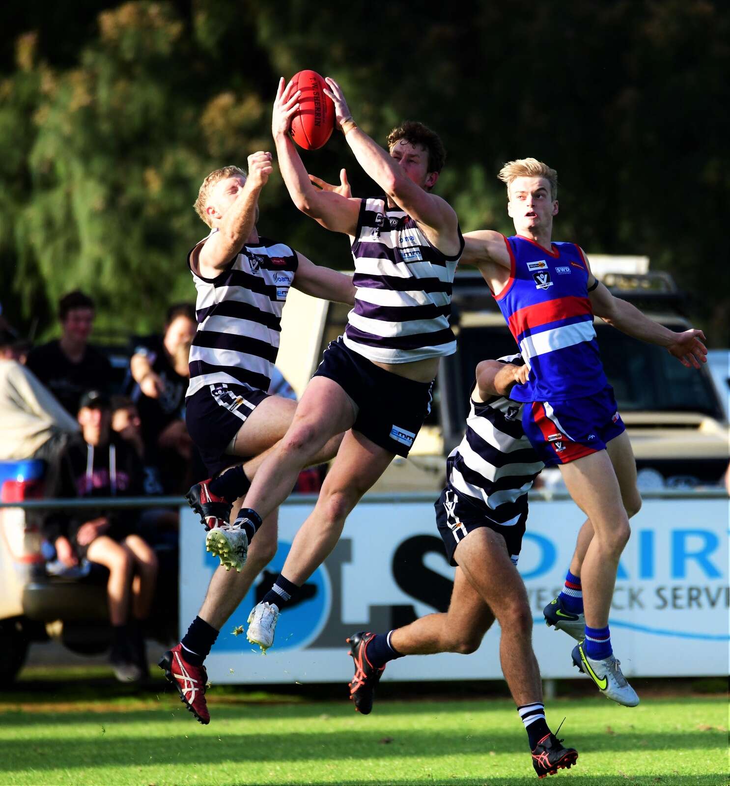 HDFL | Cats, Hoppers stay unbeaten | Shepparton News