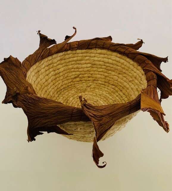 Kyabram Town Hall to host new exhibitions | Kyabram Free Press