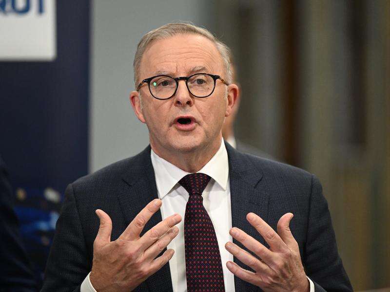 Australia to steer its own course on Palestine: PM | Country News