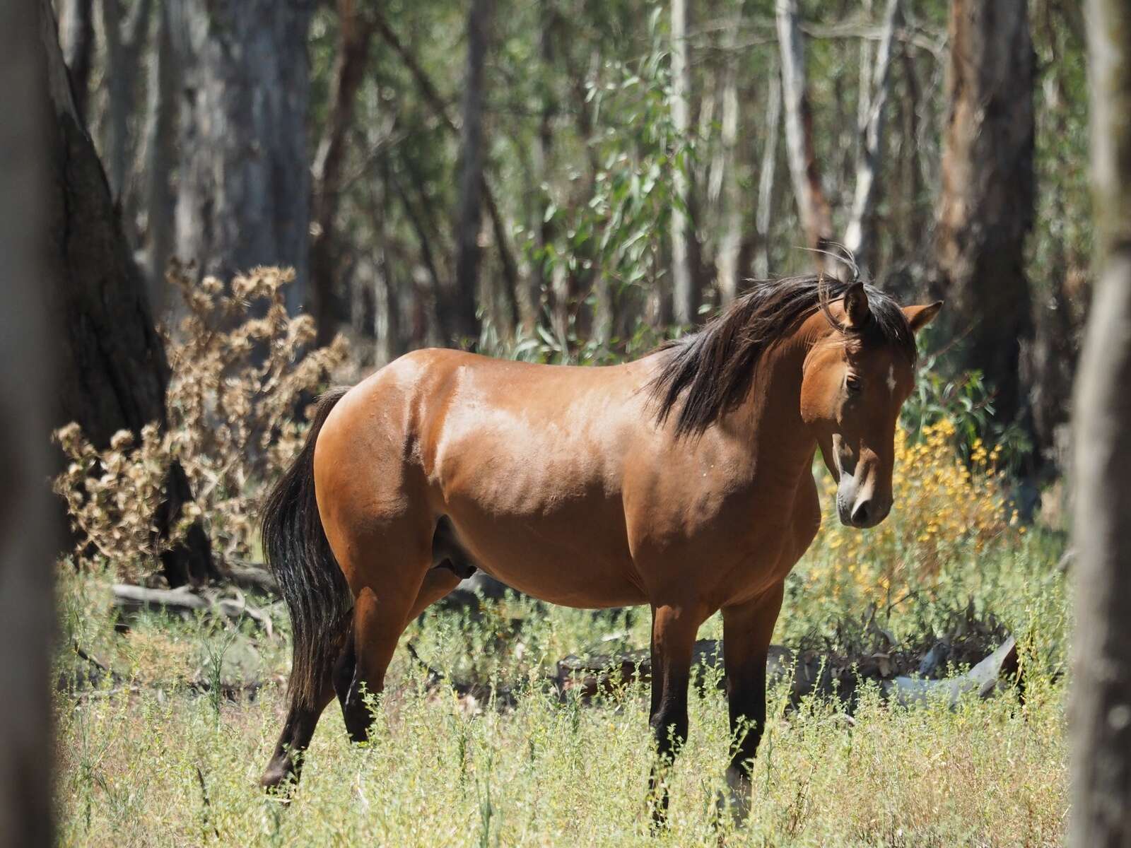Racial slurs finding for Barmah group | Country News