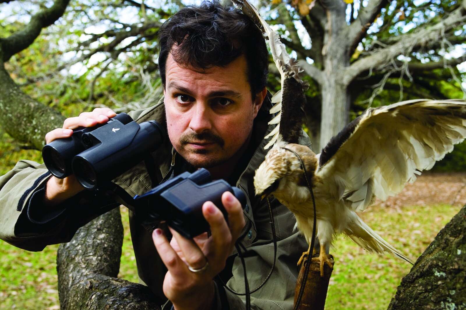 The Birdman flies in for breakfast | Country News