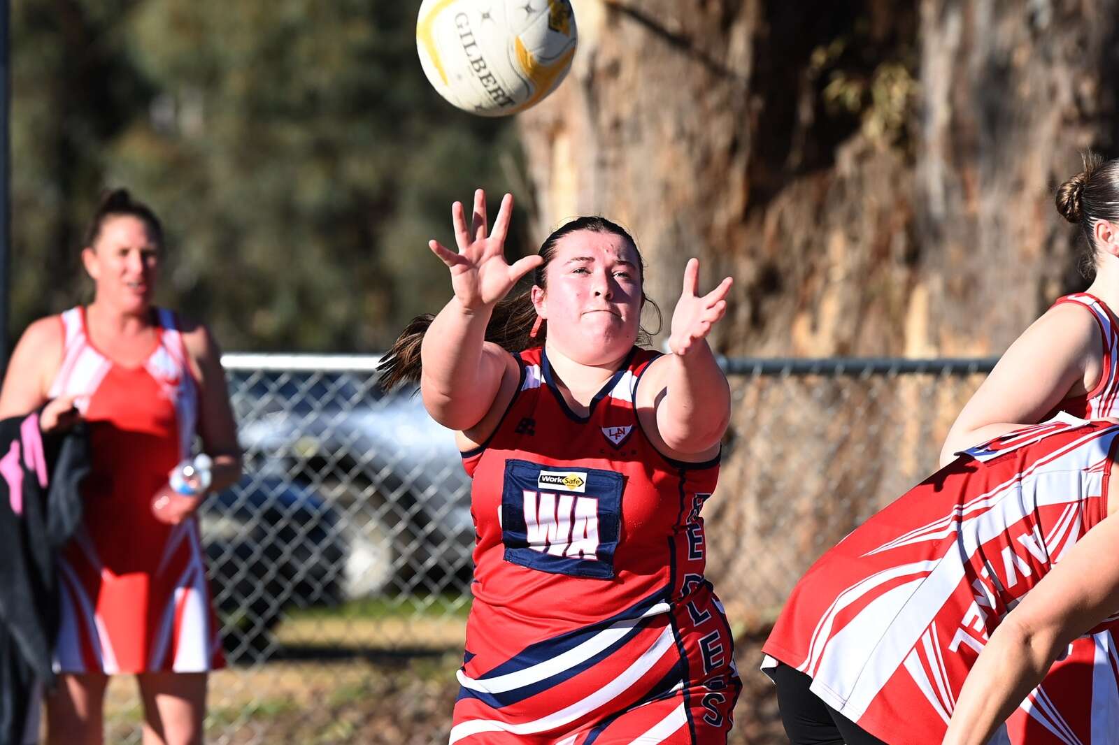 Longwood claims stirring win to end 602-day drought | Seymour Telegraph