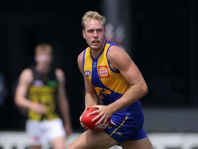 Allen shows AFL can't handle NRL-style moves: Marsh | Kyabram Free Press