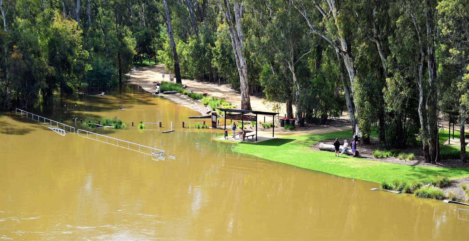 Moama beach under water | Country News