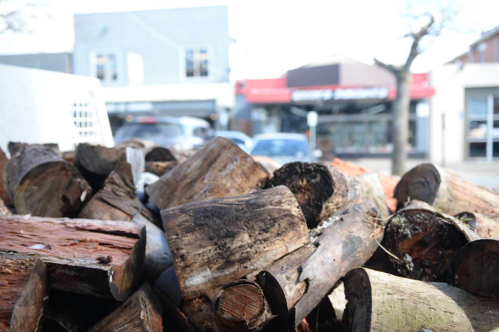 Firewood poacher’s chainsaws confiscated | Country News