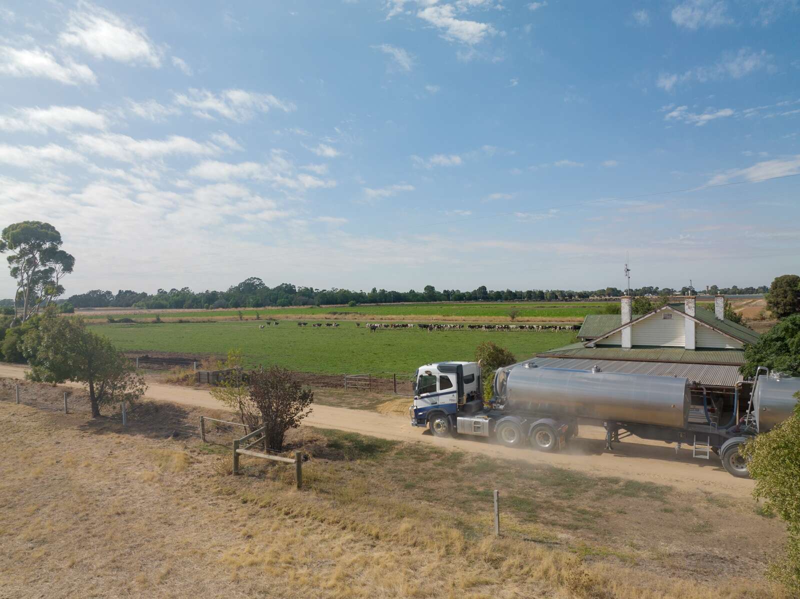 Dairy industry navigates global market challenges | Dairy News Australia