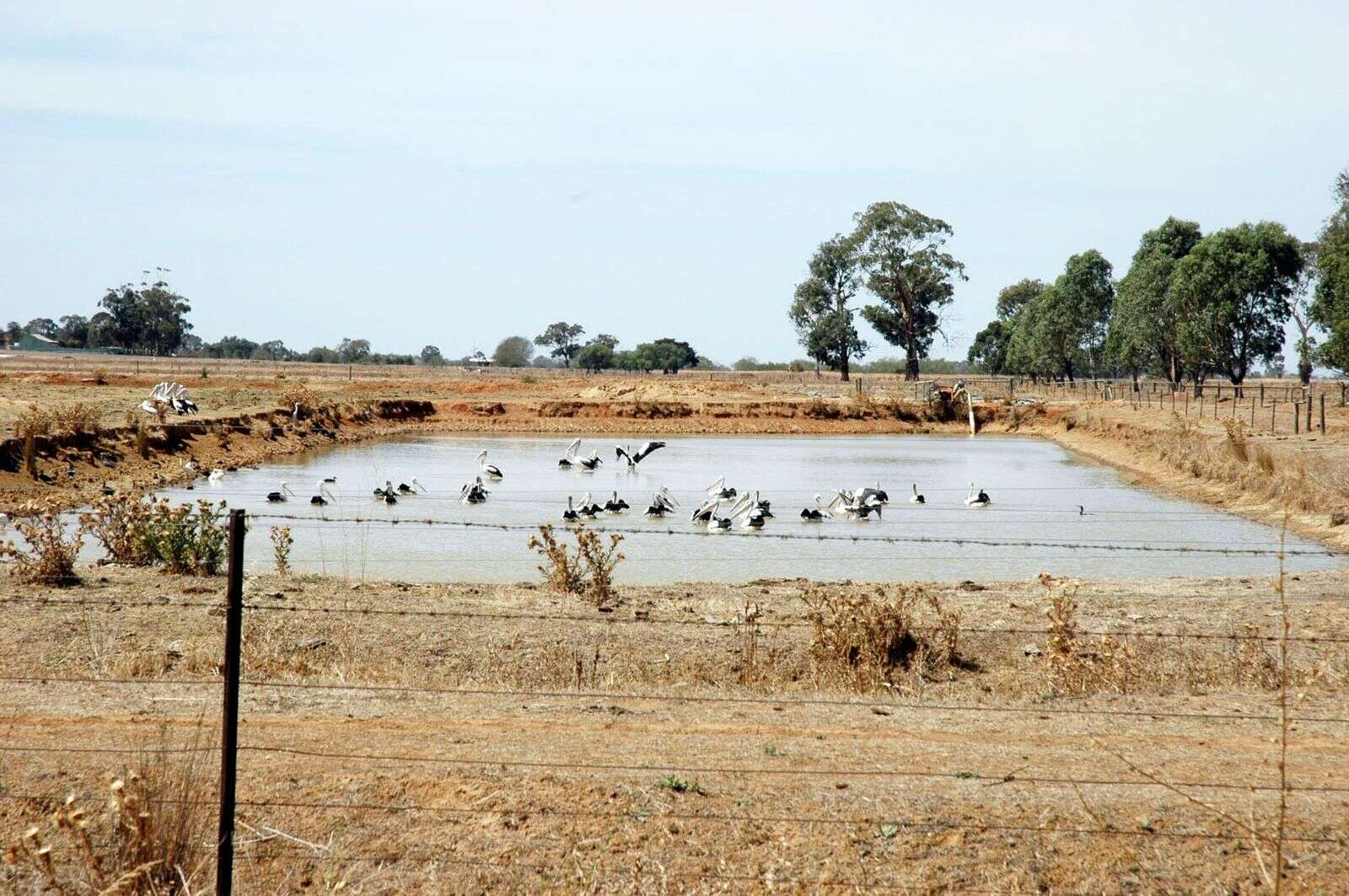 Check before you dig | Country News