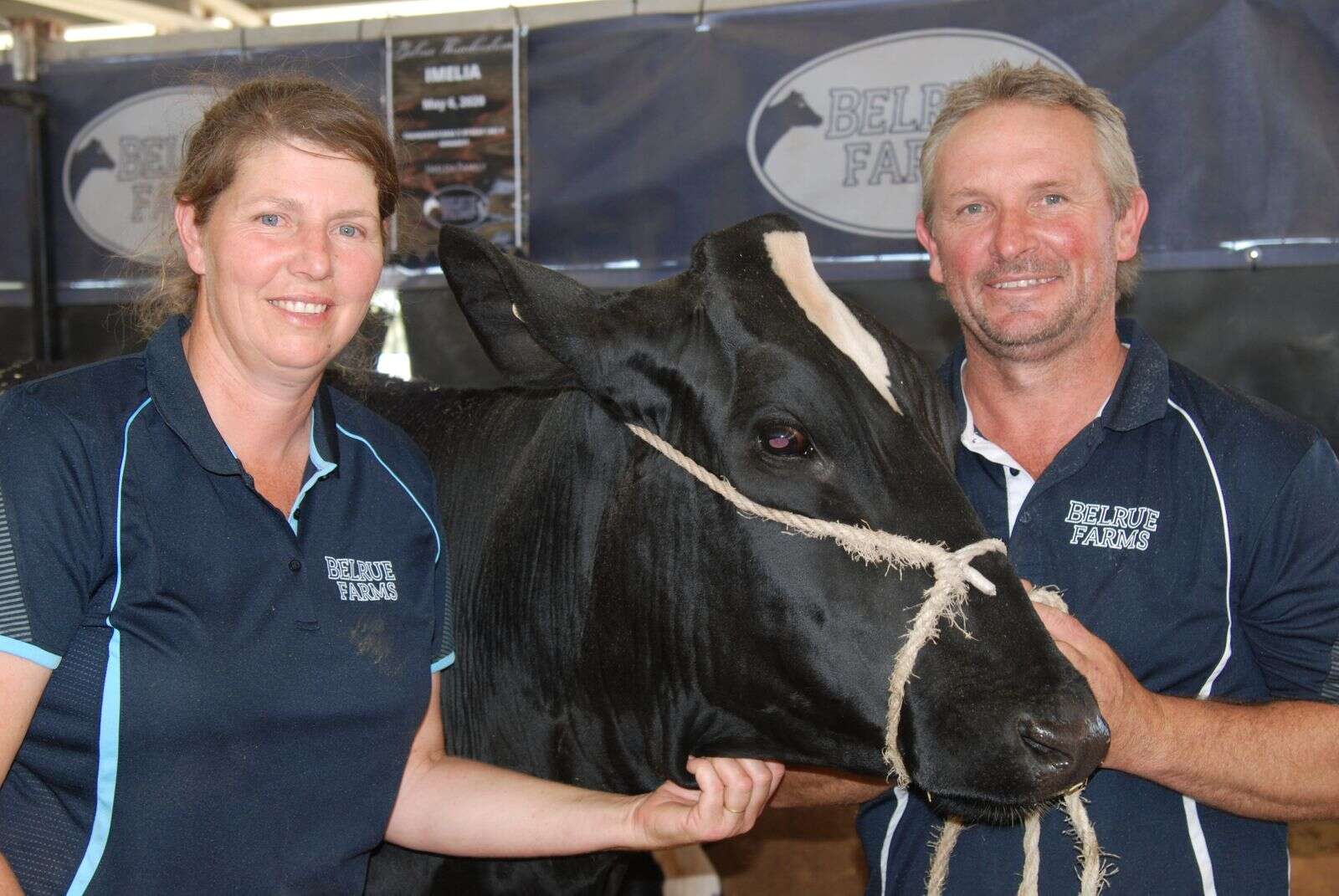 Shane's Holstein history | Kyabram Free Press