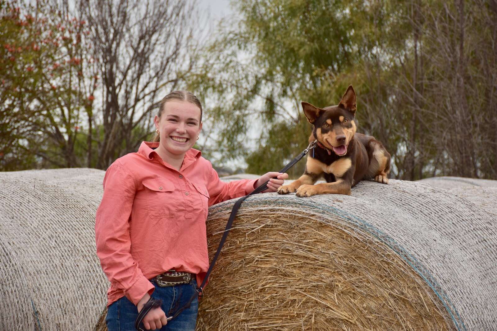 Man’s Best Friend | Chilli is red hot | Country News