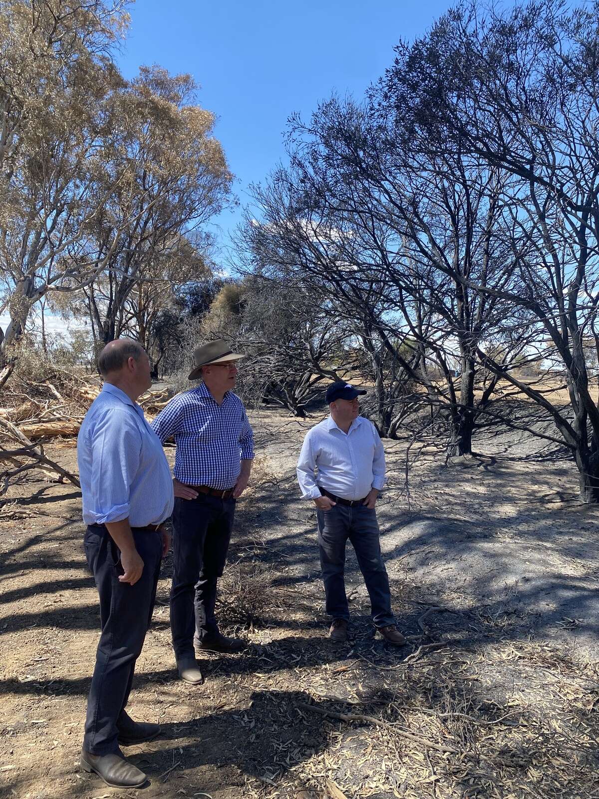 Moira Shire included in federal disaster recovery allowance | Corowa ...