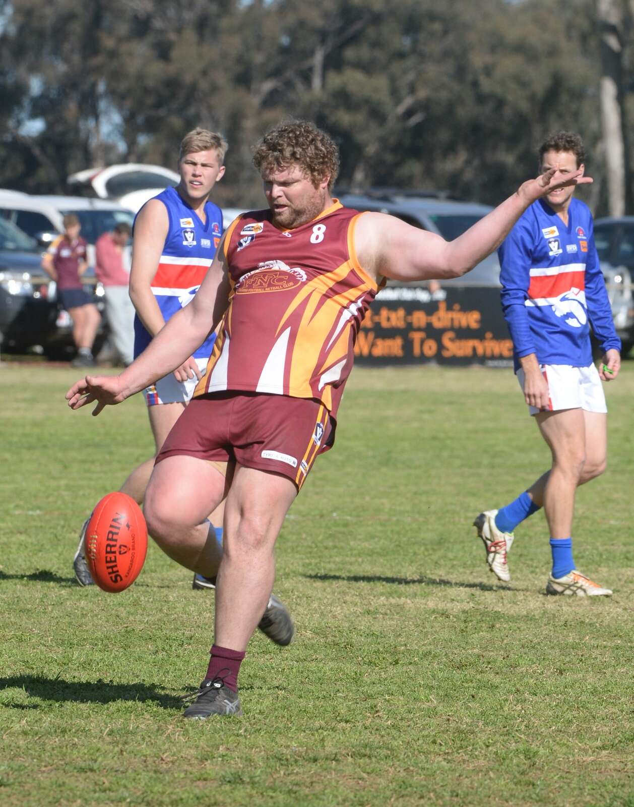 Bears through to the last dance | Shepparton News