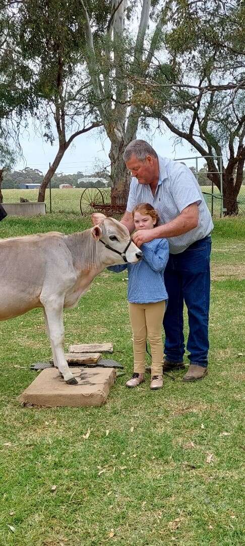 Quality cows at Ky show | Dairy News Australia