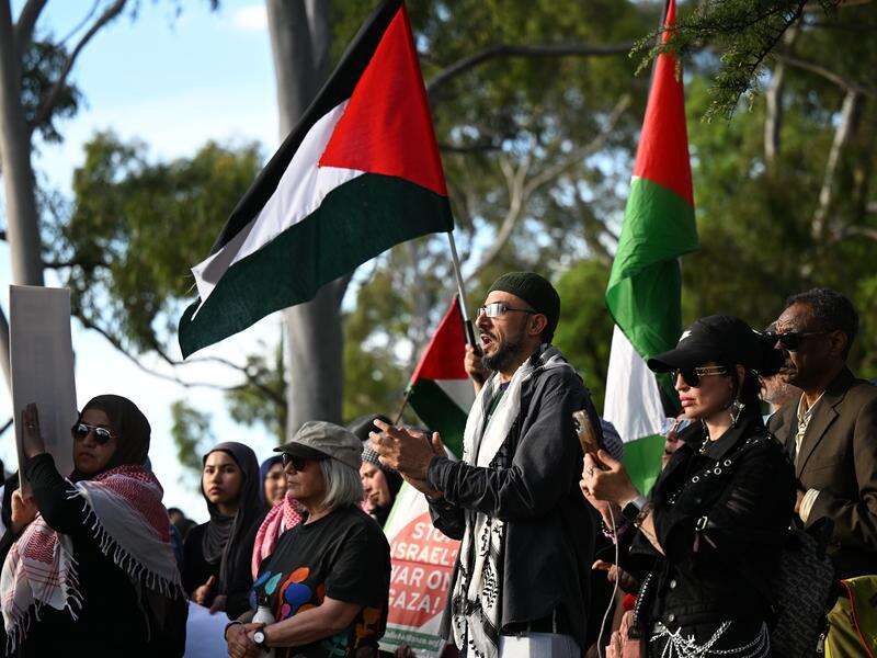 Pro-Palestine rally in Melbourne following clash | Country News
