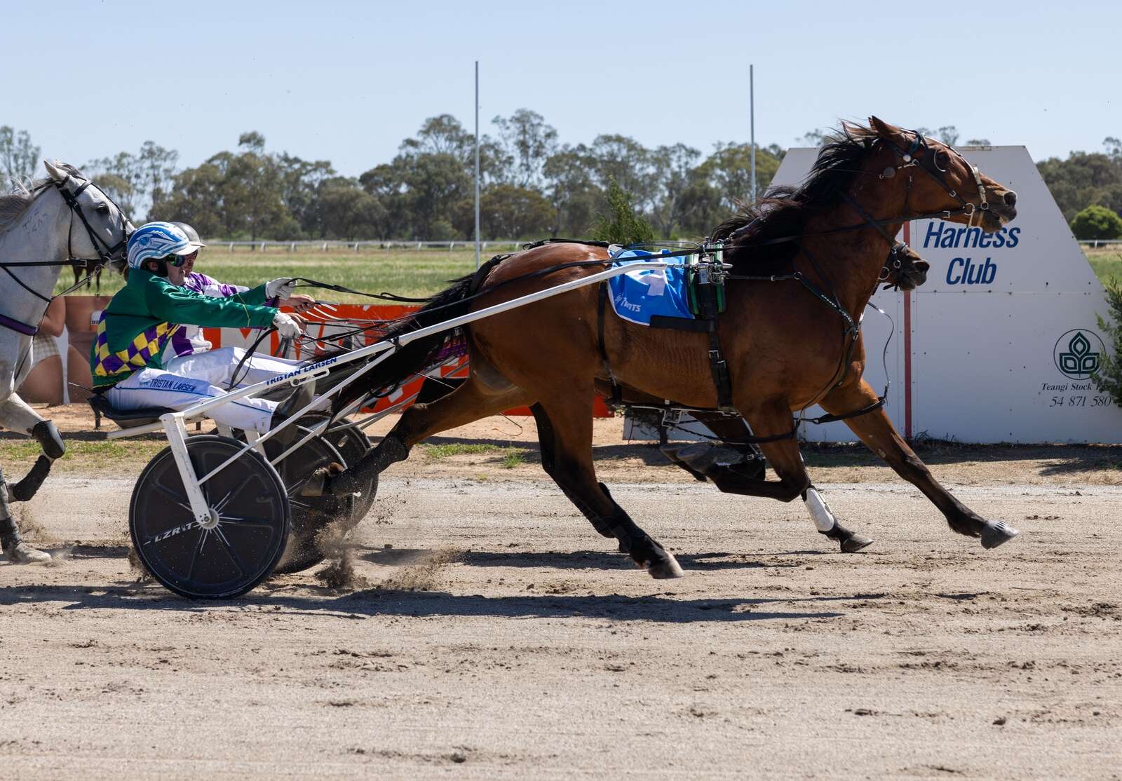 Upsets and surprises aplenty at Gunbower Pacing Cup | Riverine Herald