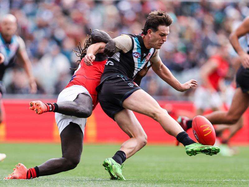Rozee stars as Port pip Essendon in AFL thriller | Benalla Ensign