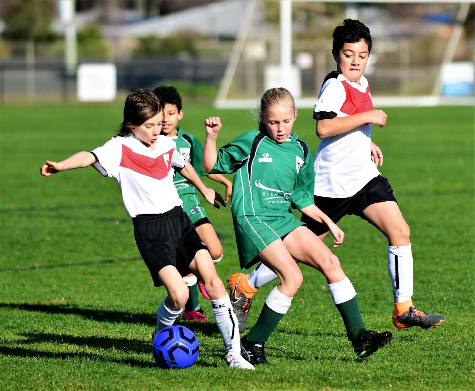 Junior Border Raiders bound for finals | Riverine Herald