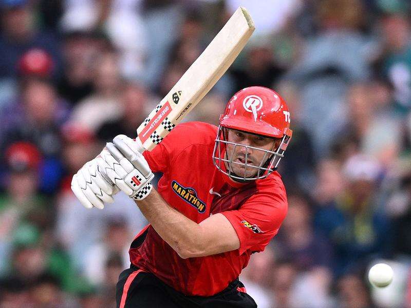 Marsh back for Renegades in Perth | Benalla Ensign