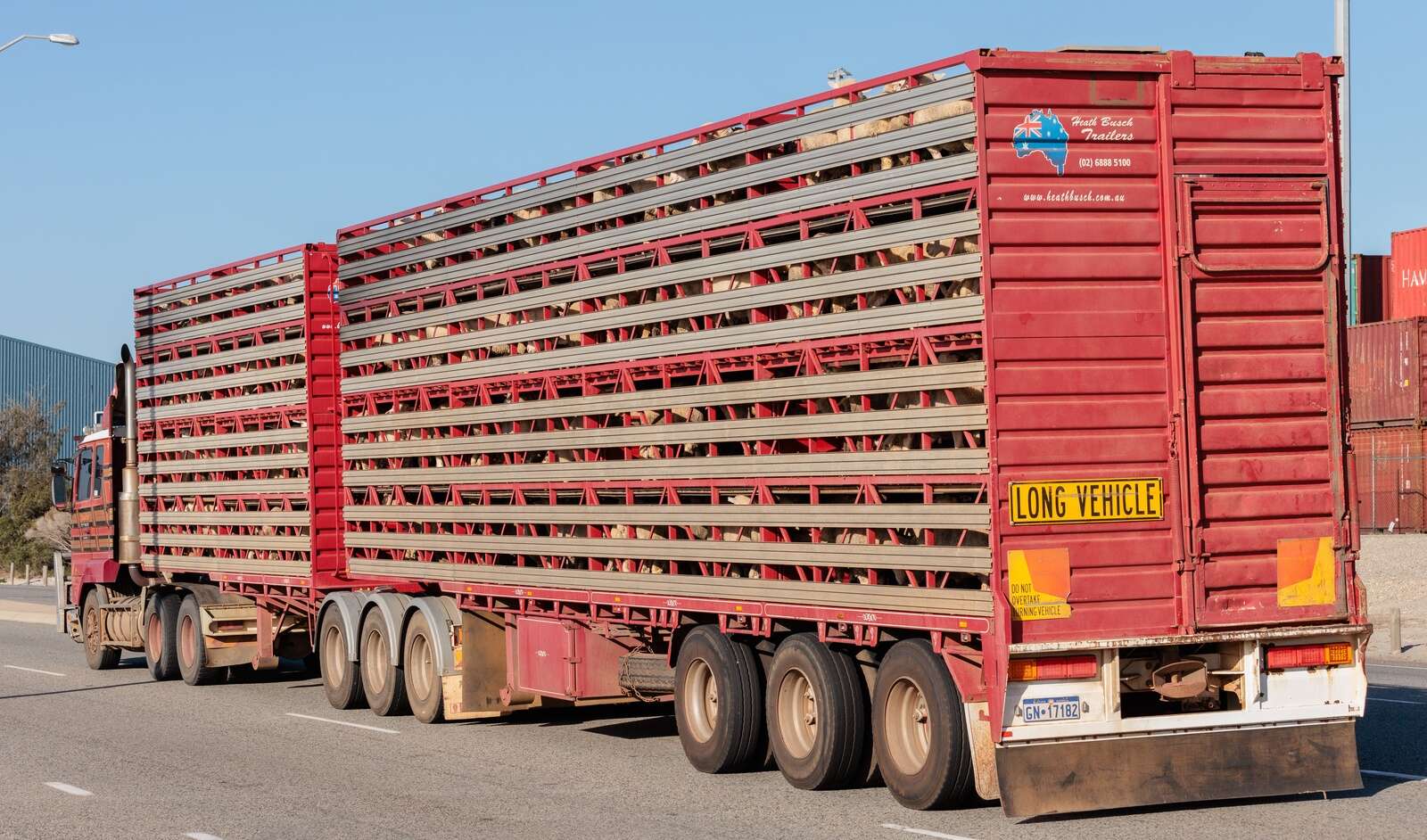 Future of animals on live export ship still unknown | Country News