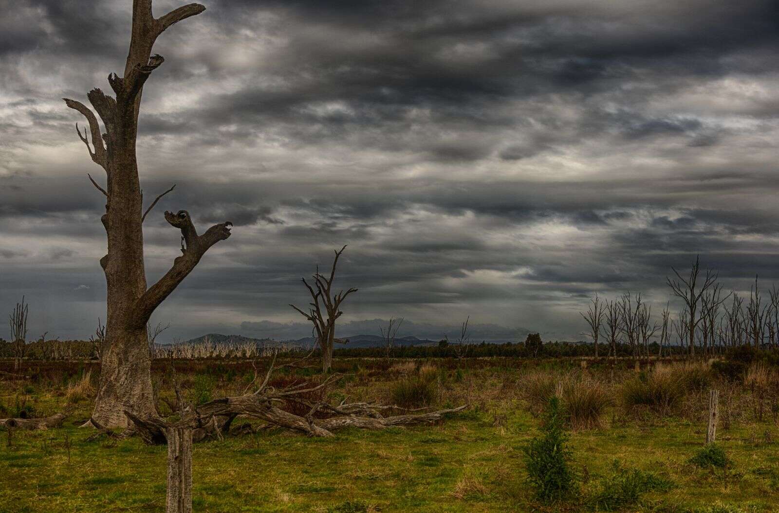 Cold and damp start to winter | Country News