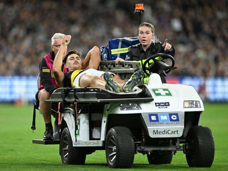 Tigers defender Gibcus suffers suspected ACL injury | Kyabram Free Press