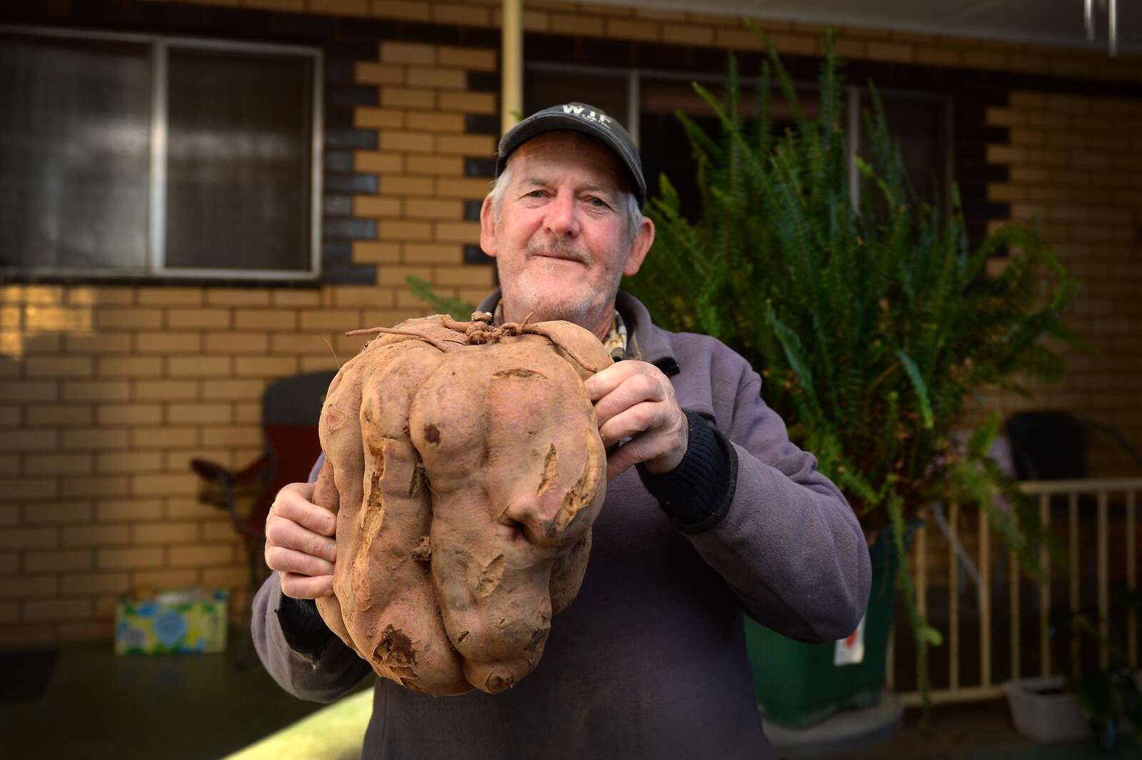 2024, a spud odyssey: Cobram man digs up massive surprise | Shepparton News
