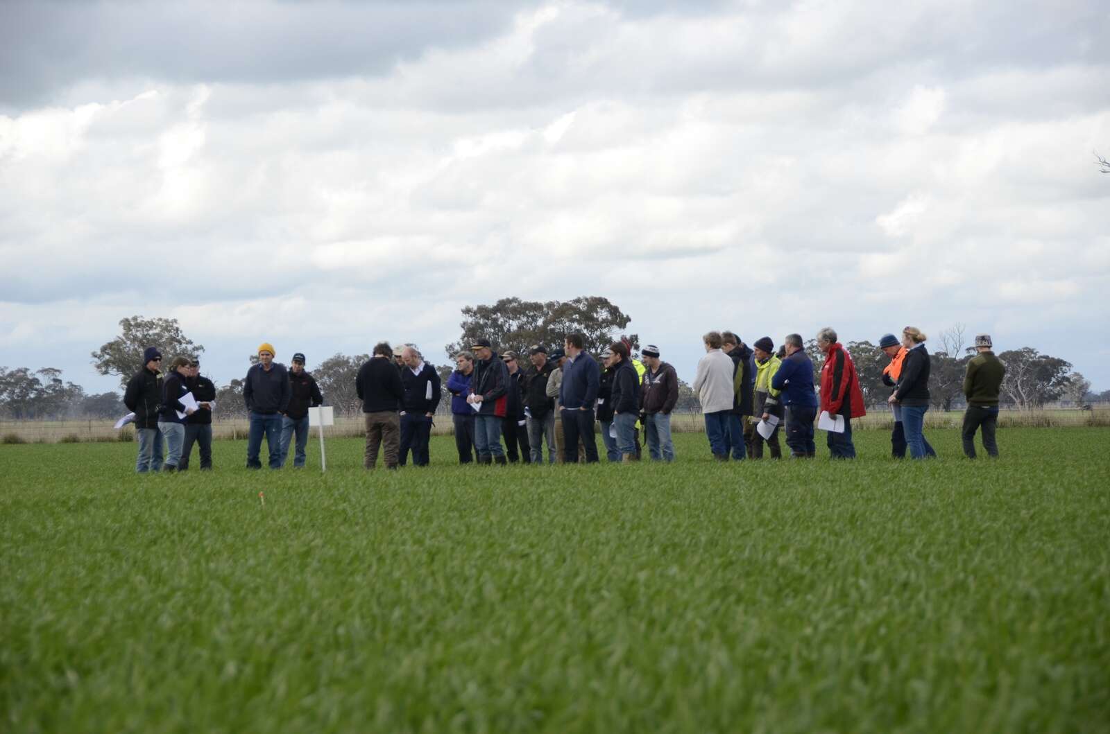 EOI open for on-farm demonstrations | Dairy News Australia