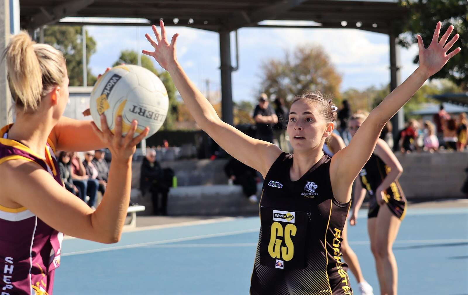 Holt hero in Tigers’ one-goal win | Shepparton News