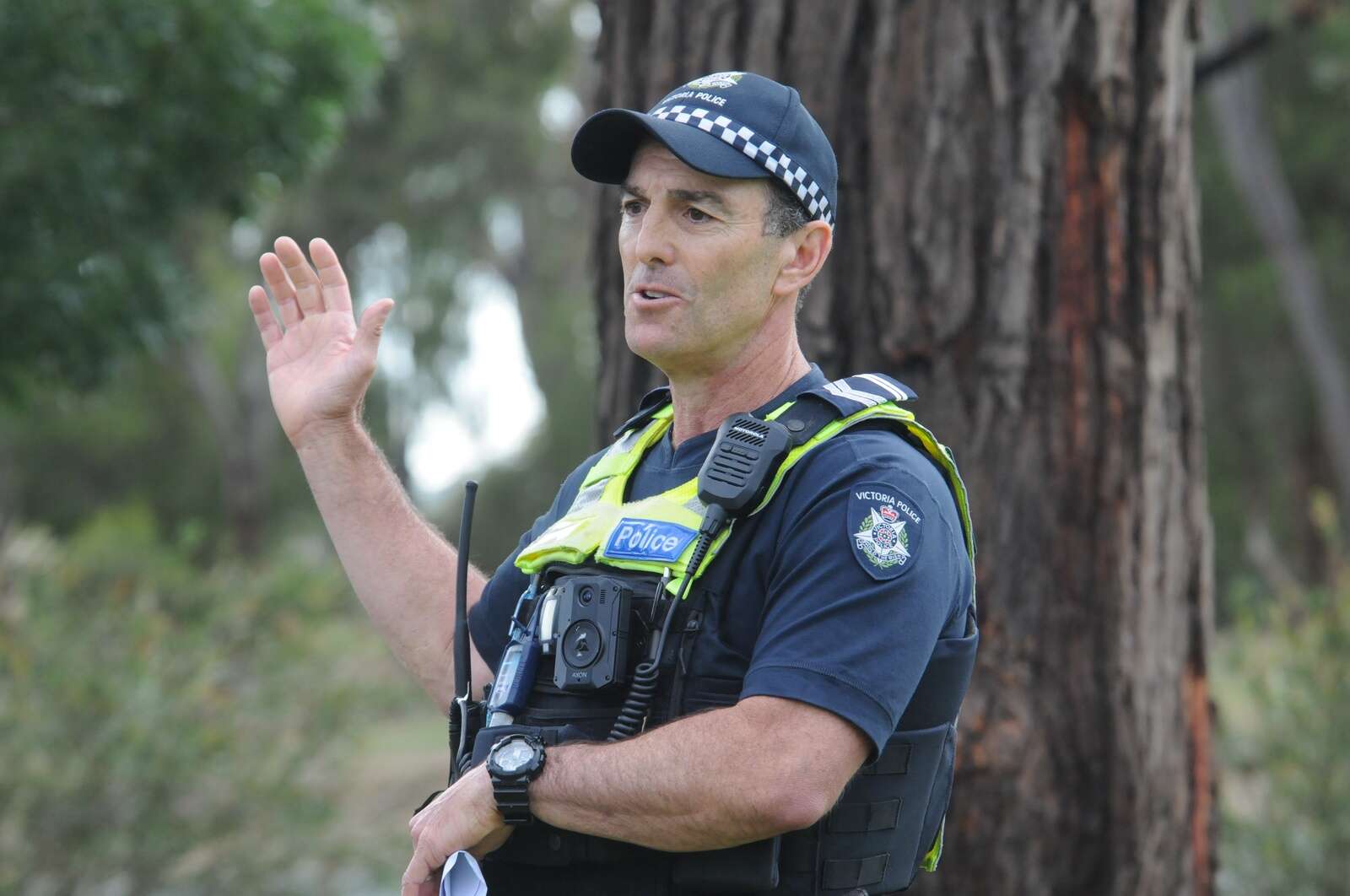 Frank shares Italian heritage with Australian audience | Shepparton News