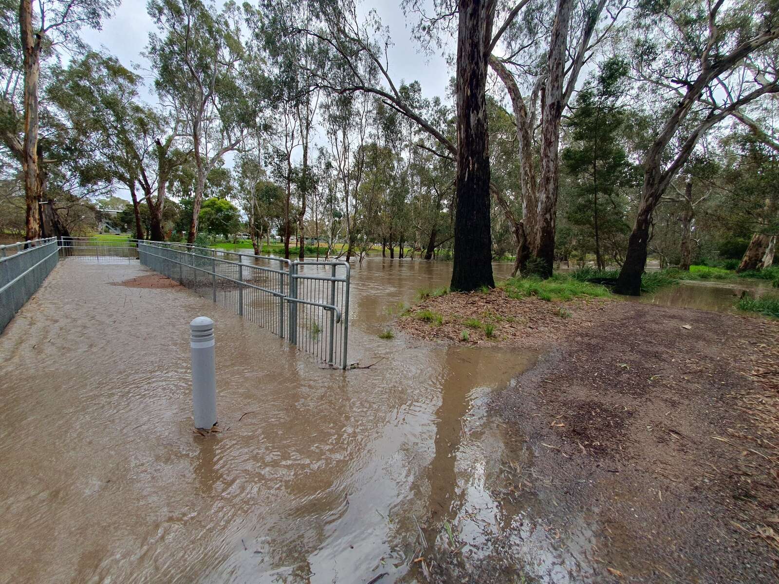 Parts of the region on flood watch | Shepparton News