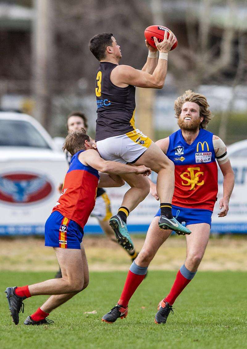 New coach for Shepparton Bulls | Shepparton News