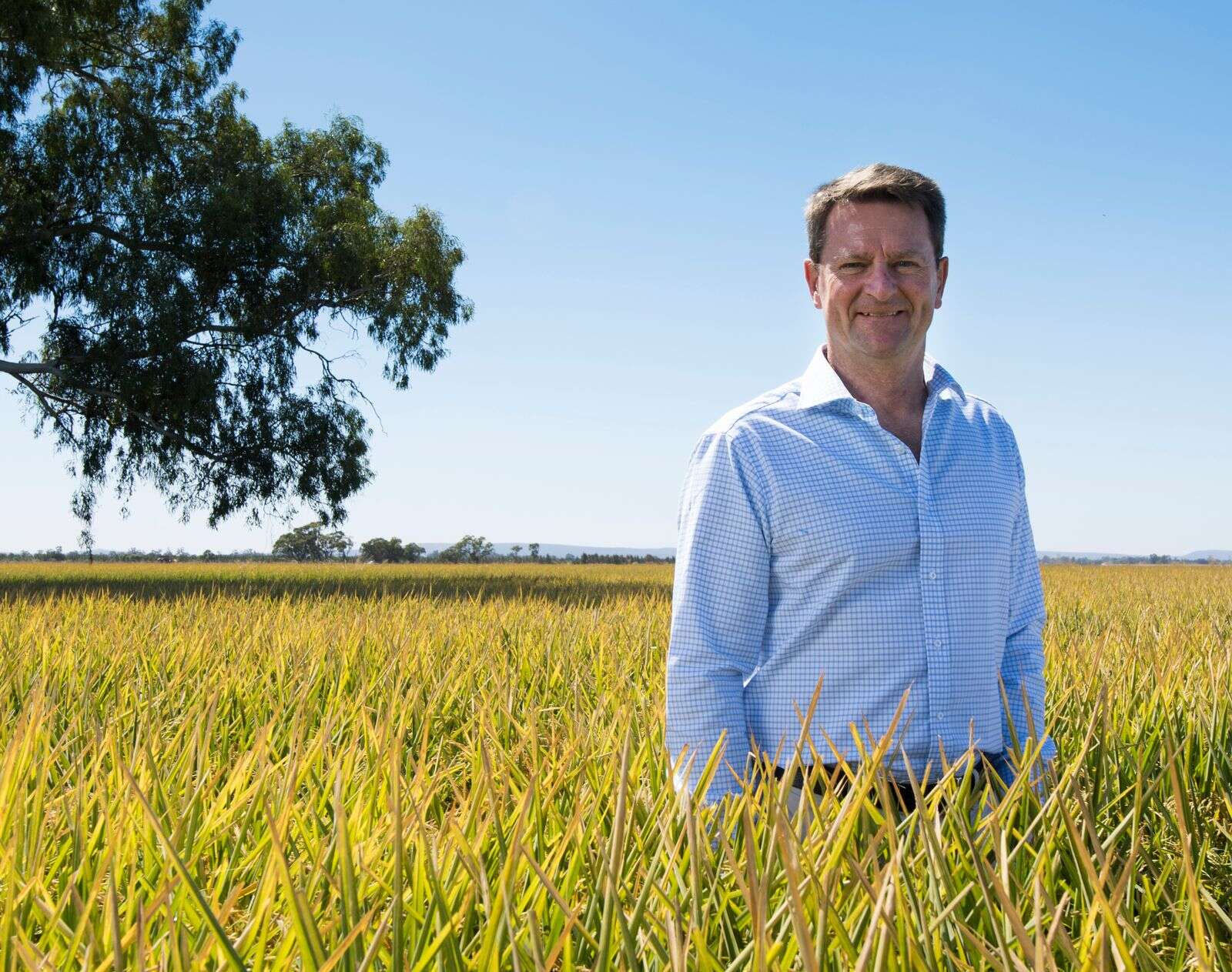 SunRice announces new CEO | Yarrawonga Chronicle