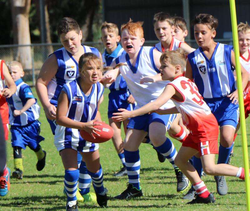 Rovers junior football reports: | Deniliquin Pastoral Times