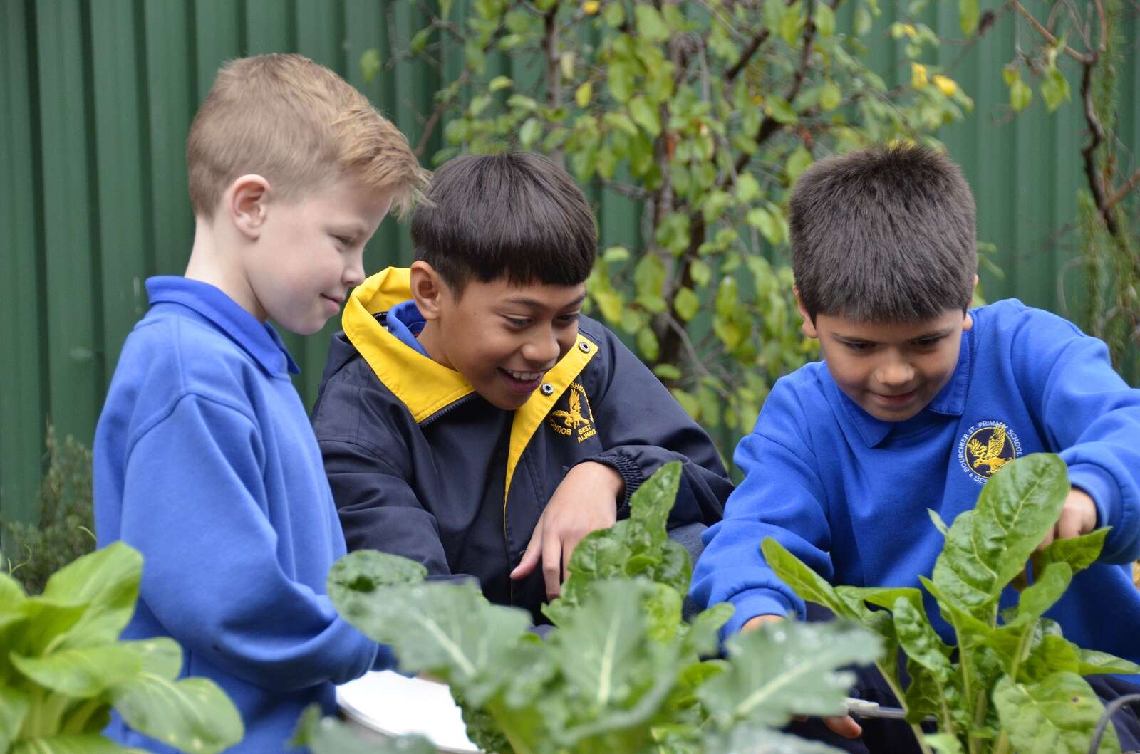 From little things big things grow | Corowa Free Press