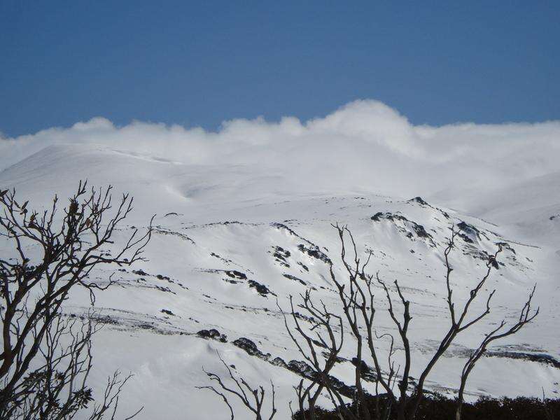 Plane wreckage found but crash not survivable: police | Benalla Ensign