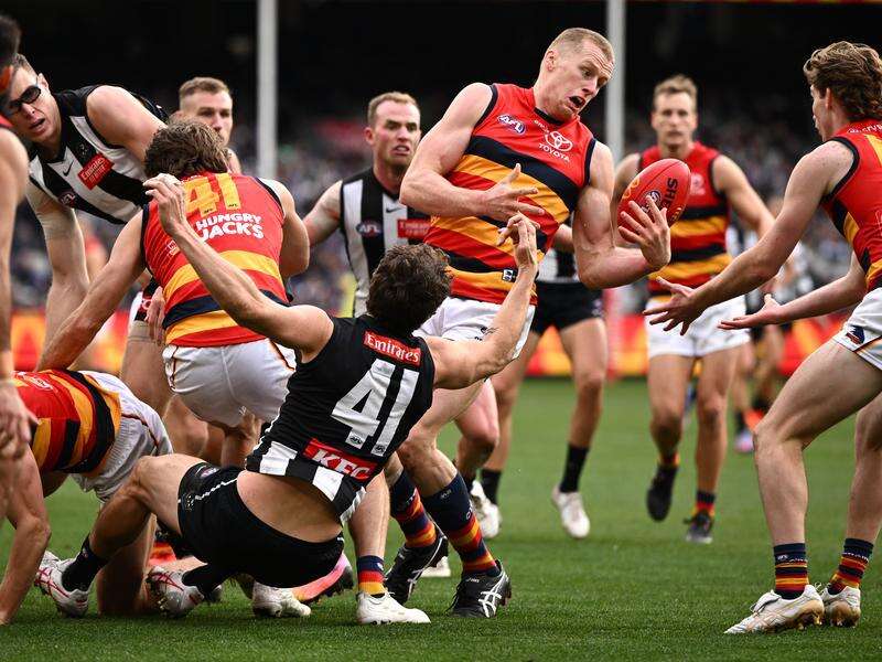 AFL concedes umpires missed Crows free kick vs Pies | Country News