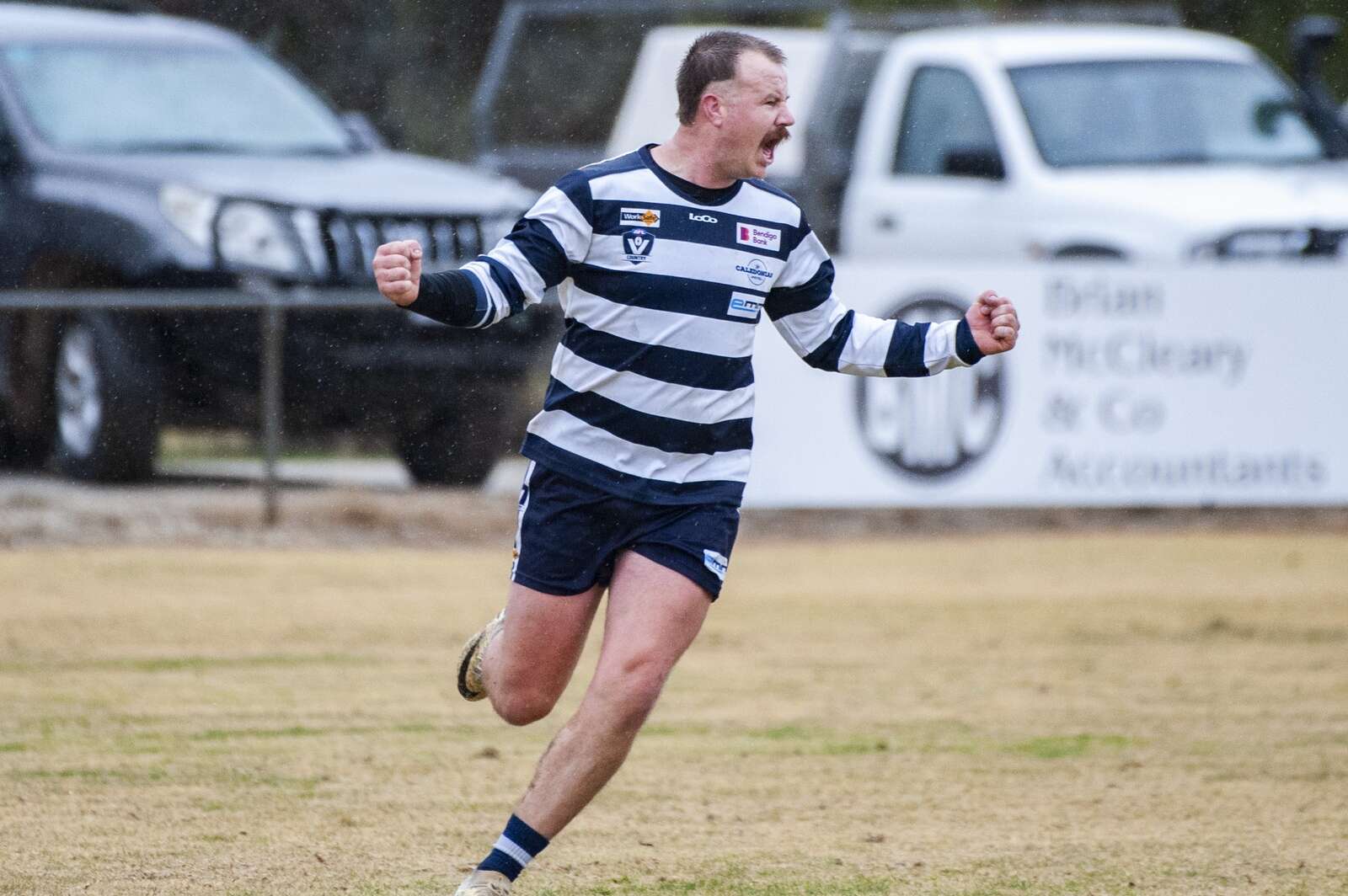 Gallery | Spirited Cats go down to Bombers | Seymour Telegraph