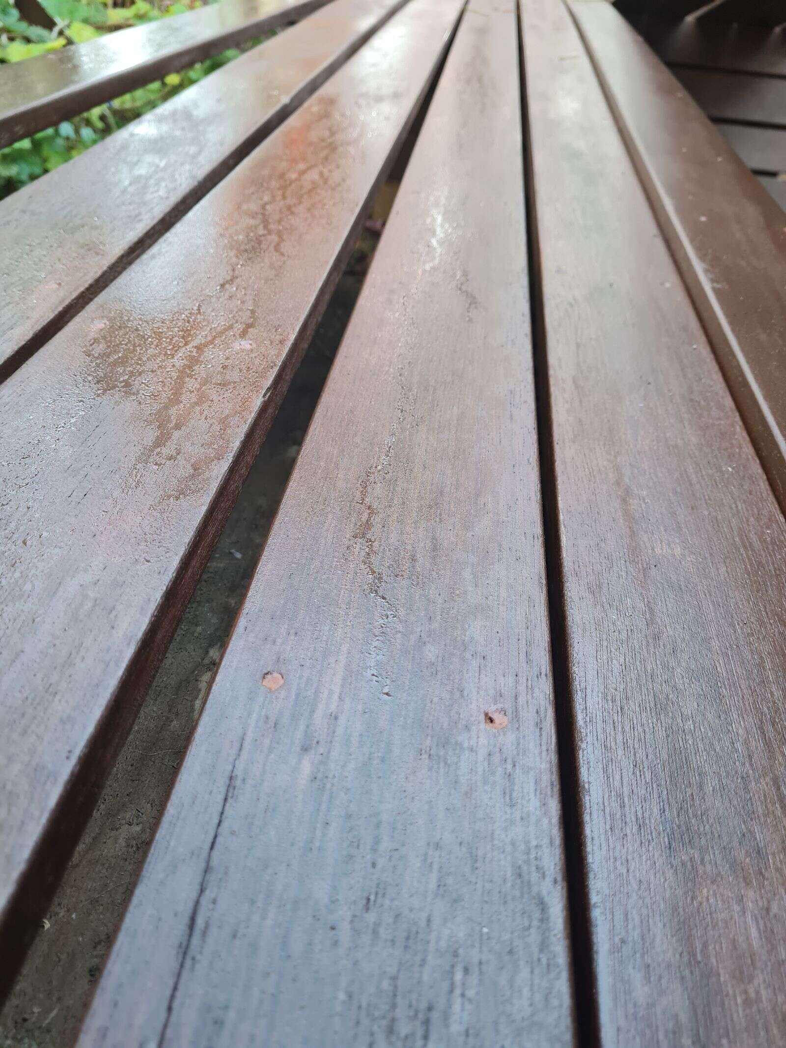 Grooving on the sand train | Shepparton News