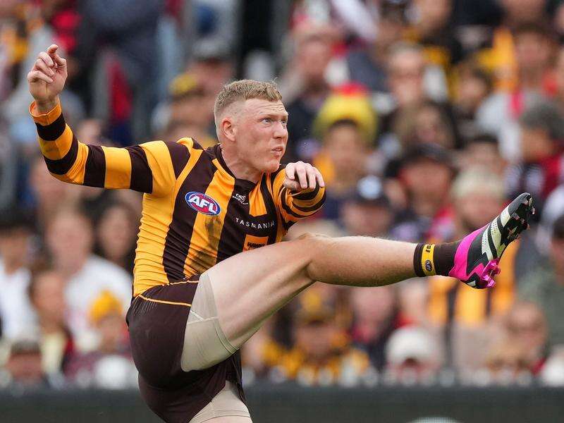Hawk Sicily, Tiger Mansell to appeal AFL suspensions | Benalla Ensign